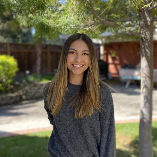 About Us – Davis Design Interactive